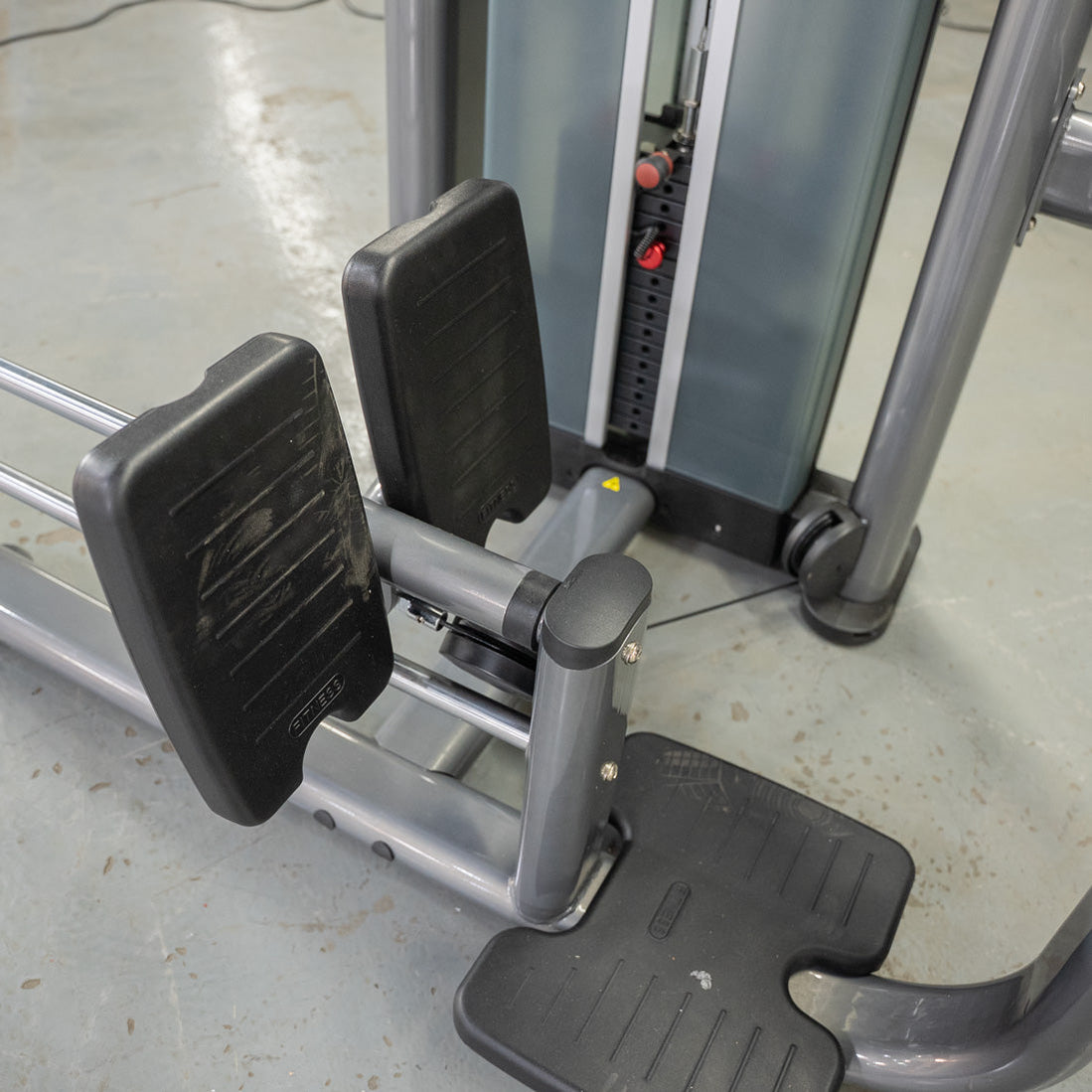 Muscle D Fitness Elite Plus Glute Blaster - Commercial Grade - Pin Sel ...