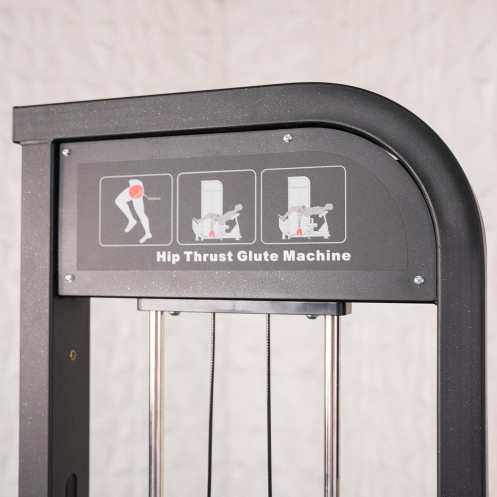 Muscle D Fitness Excel Selectorized Hip Thrust Glute -Selectorized Glu — Peak Flow Fitness
