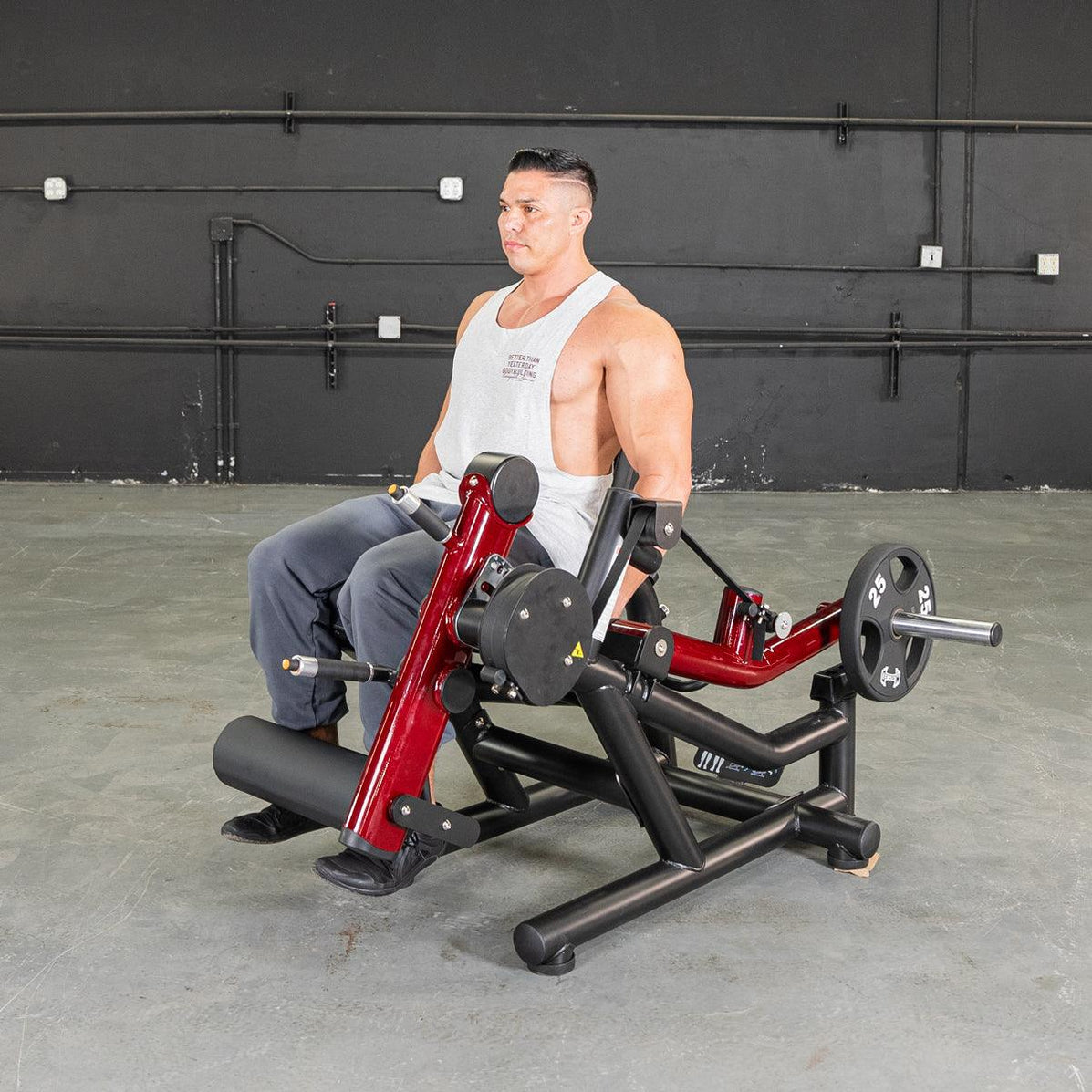 Power Leverage V2 Seated Leg Extension / Prone Leg Curl Combo - Muscle ...