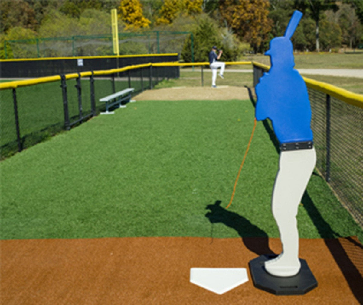 Trigon Sports DHPRO Baseball & Softball Training Aids for Designated ...