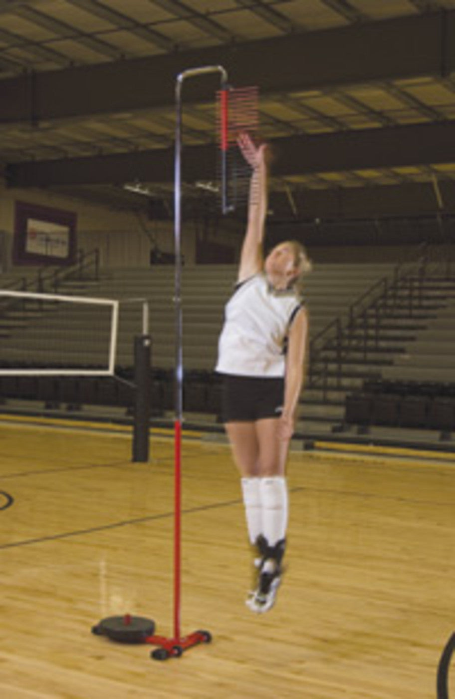 Trigon Sports Volleyball Vertical Challenger VBVERT | Peak Flow Fitness